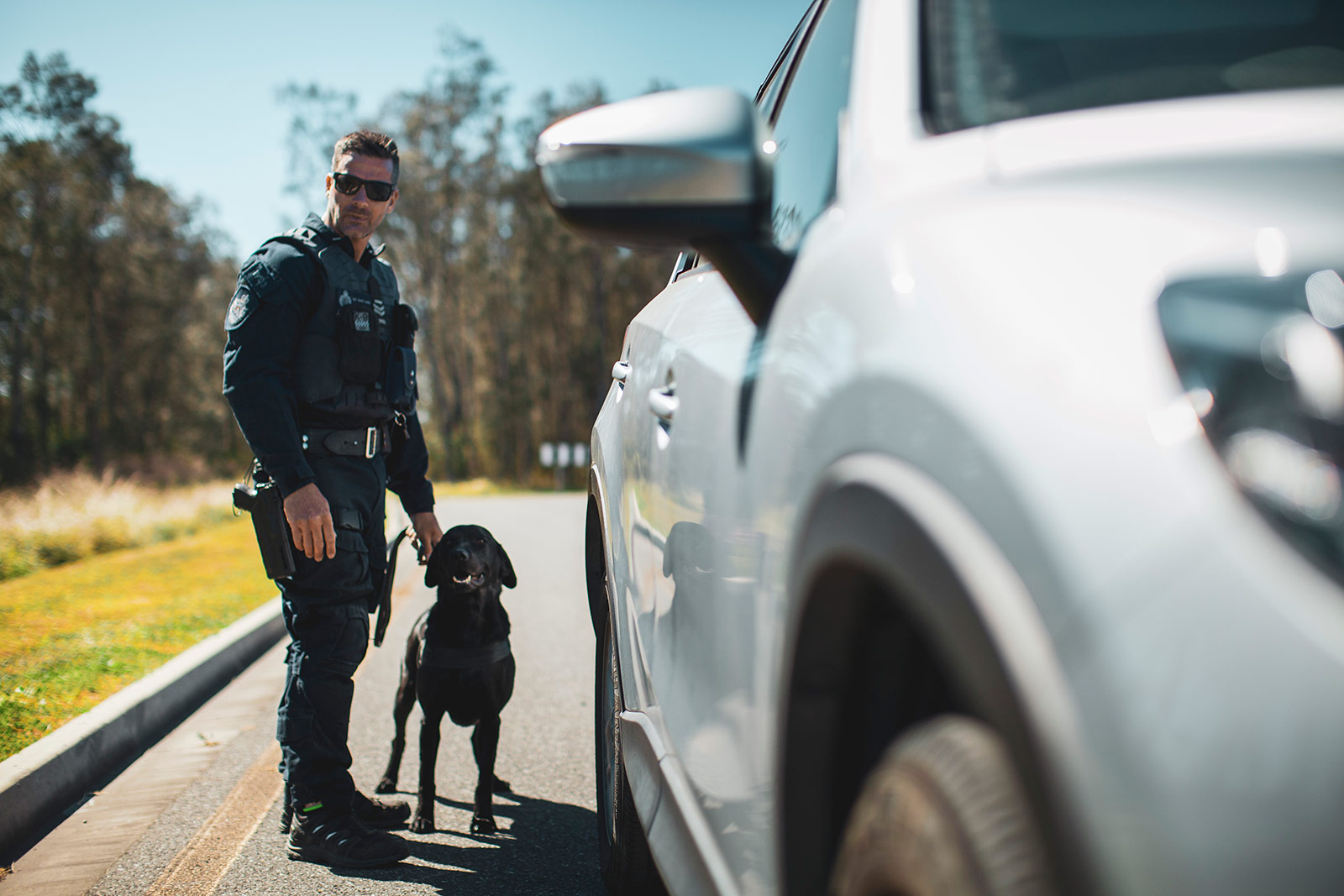 BNE Stories: Scott's Paw-enforcement Connection