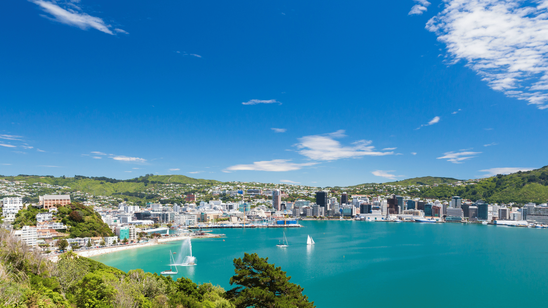 8 things to see and do in Wellington, New Zealand